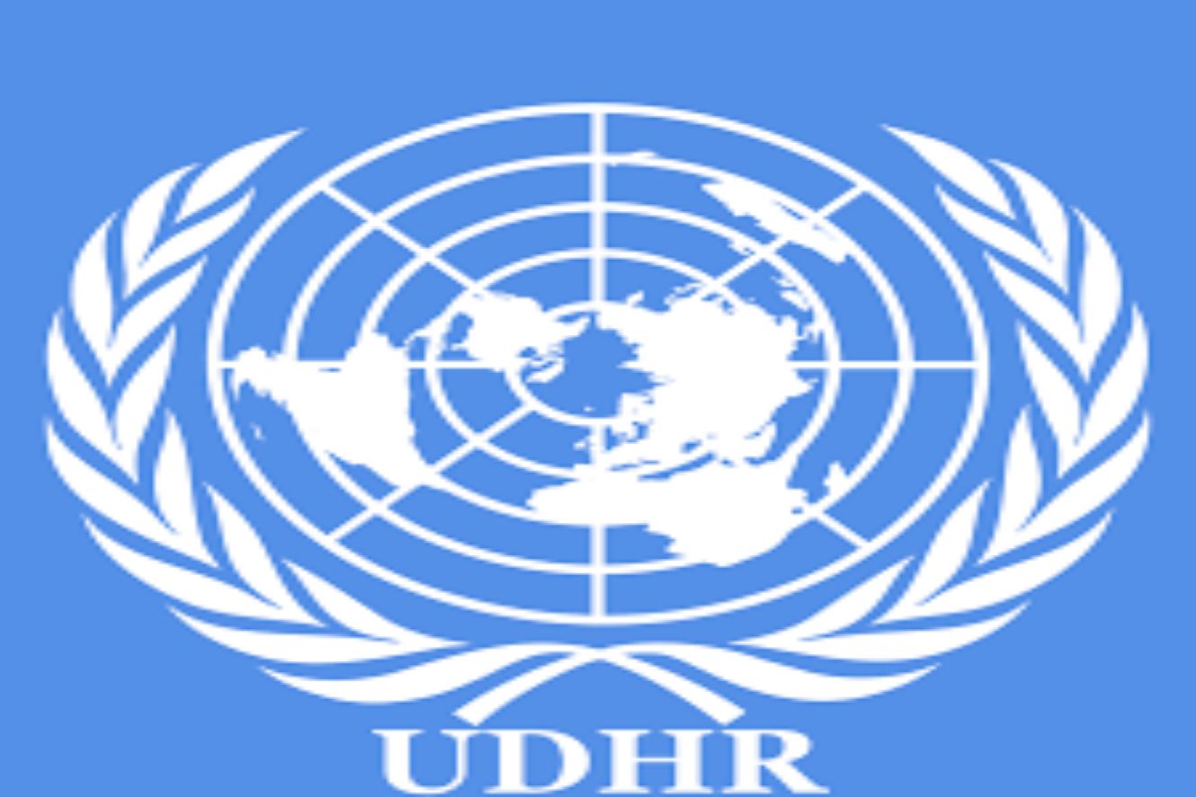 Universal Declaration Of Human Rights Logo