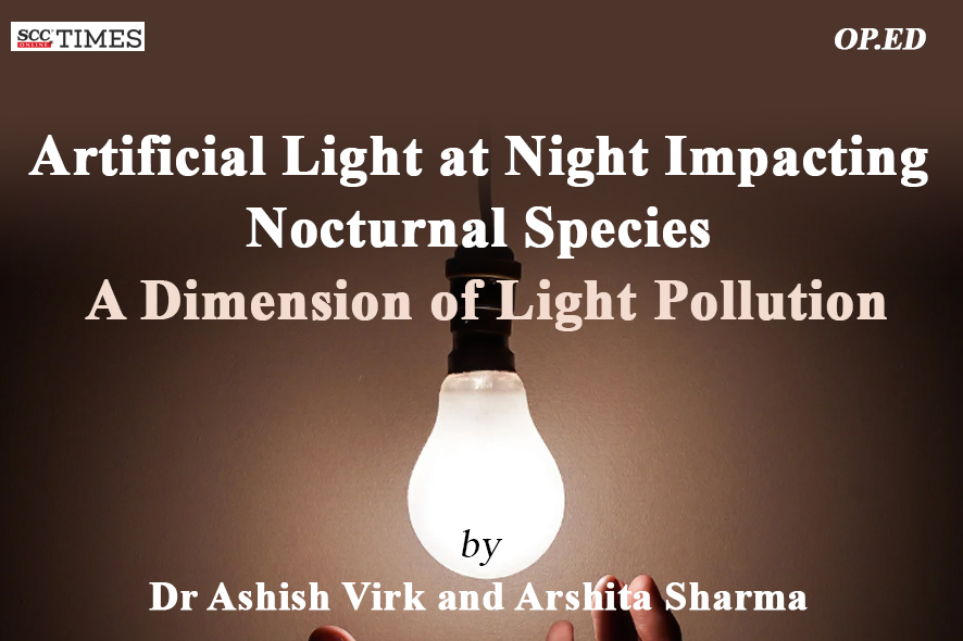Impact of Nighttime Artificial Light on Nocturnal Species: Exploring ...